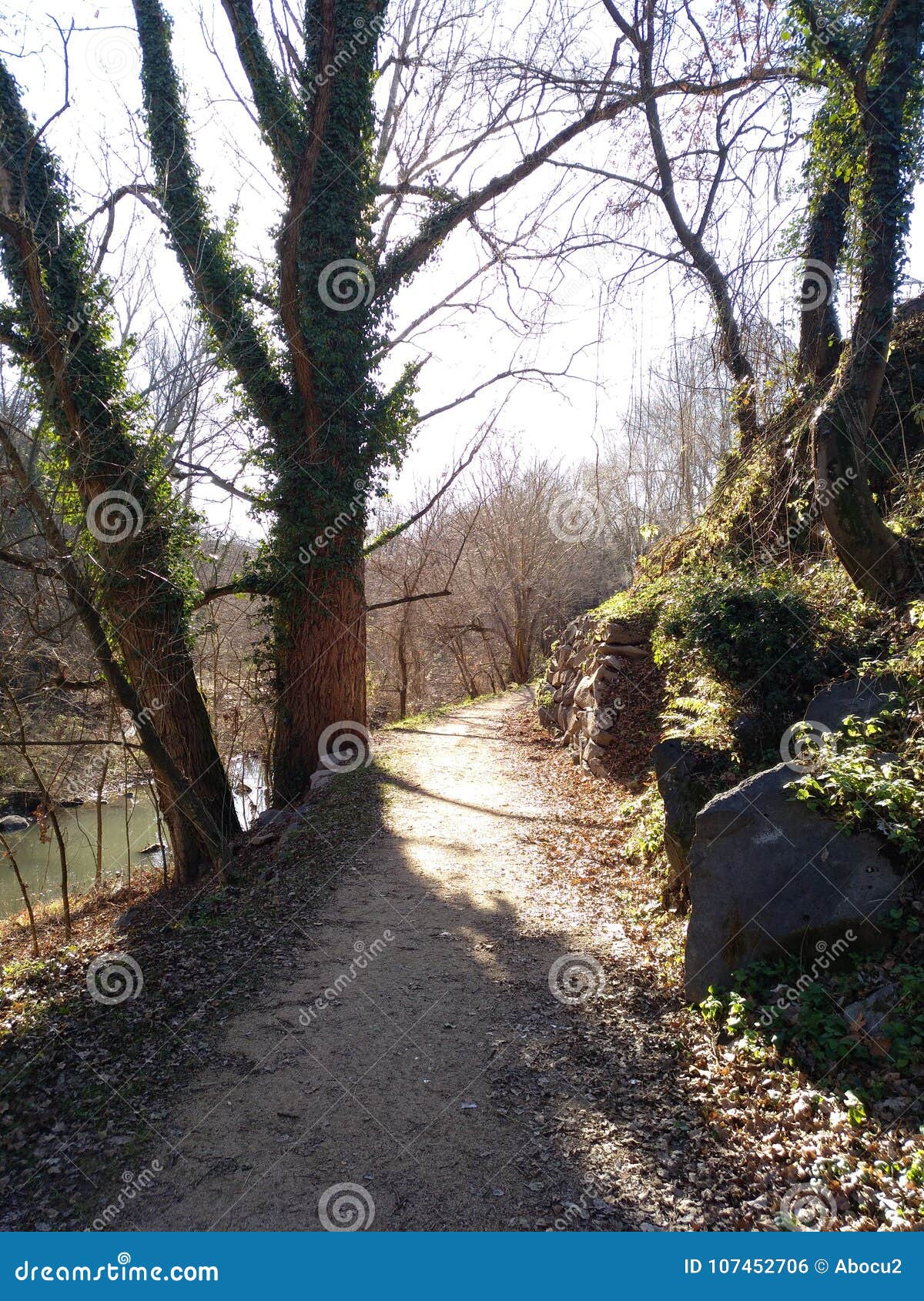 Path near the river stock photo. Image of tree, olot - 107452706