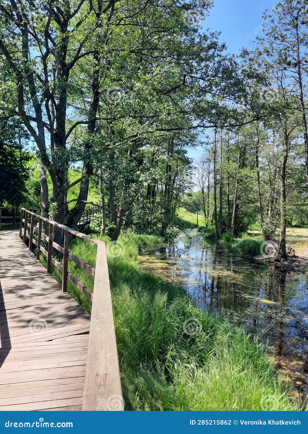 The path near the river stock photo. Image of flower - 285215862