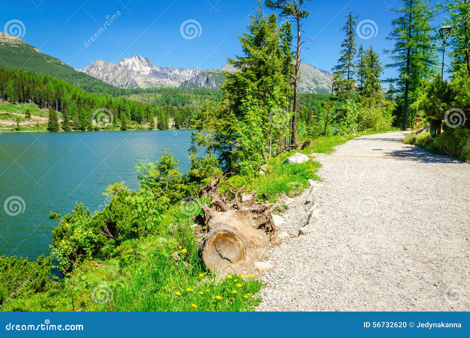 Path Next To a Beautiful Mountain Lake Stock Photo - Image of scenic ...