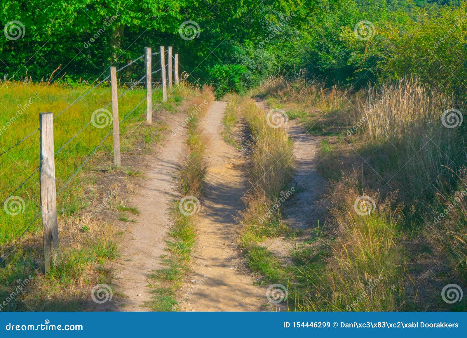 A Path Next To a Dutch Meadow Stock Image - Image of green, path: 154446299
