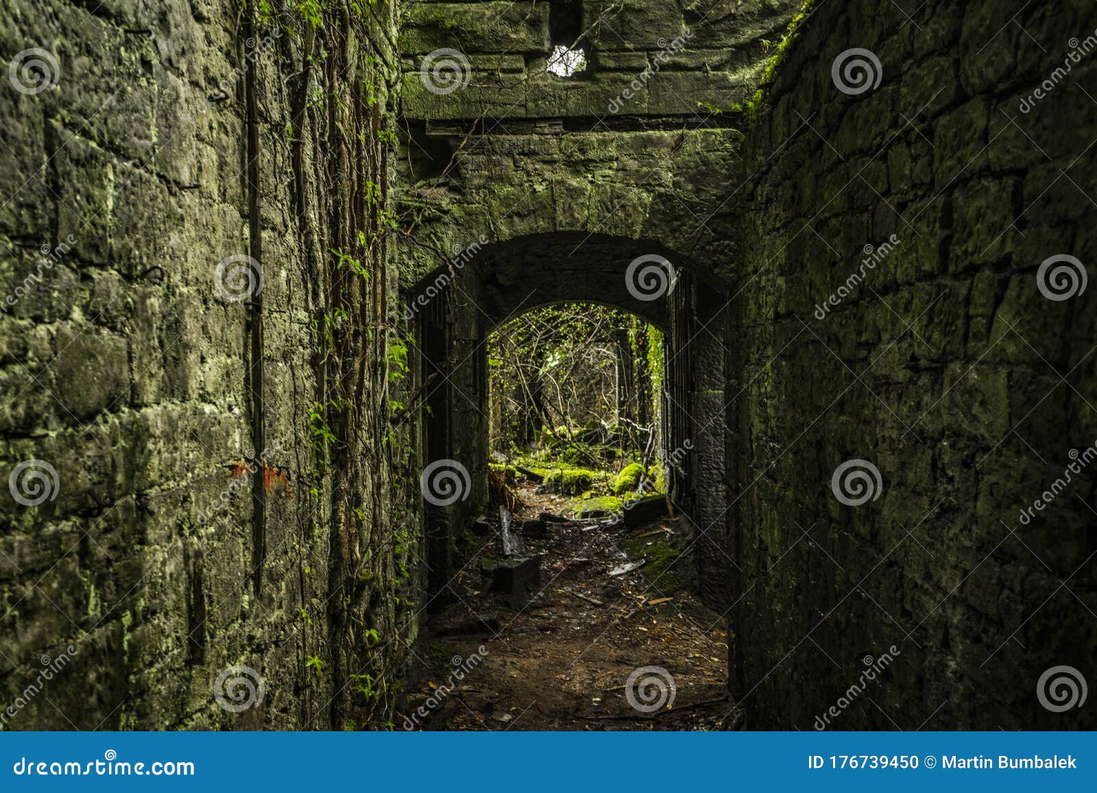 Path through the Old Mysterious Ruins Stock Photo - Image of ancient ...