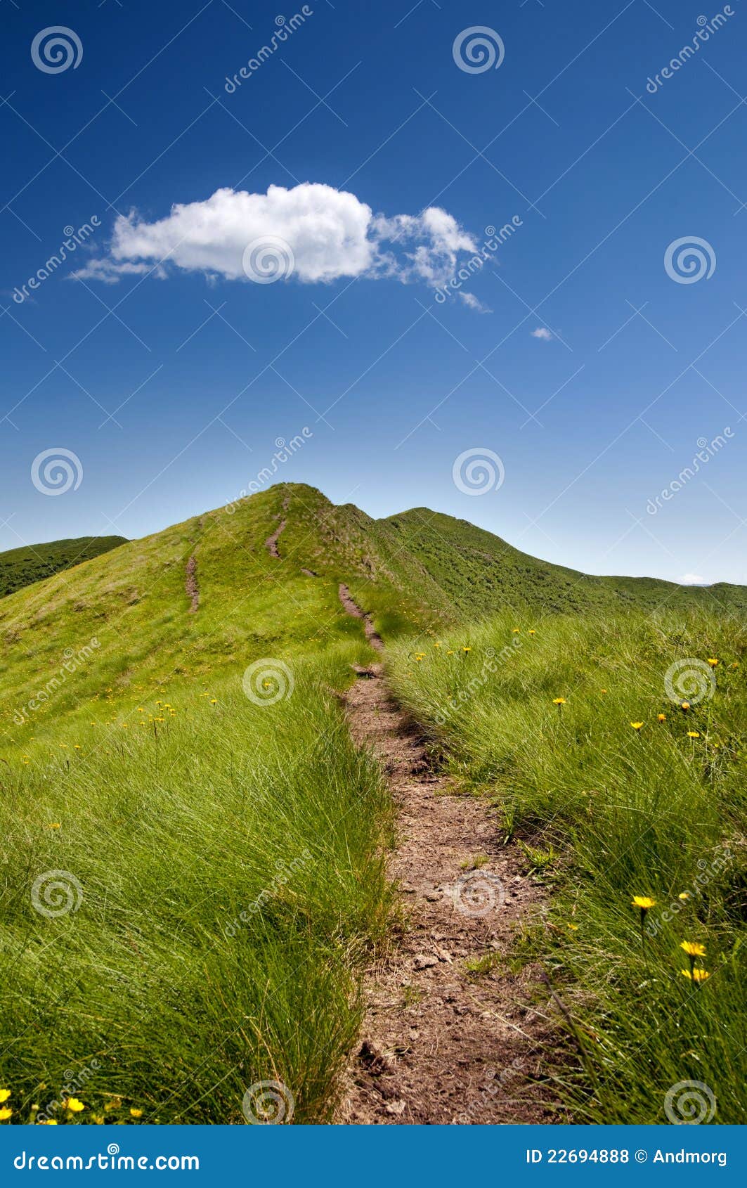 Path over the Alps stock photo. Image of happy, effort - 22694888