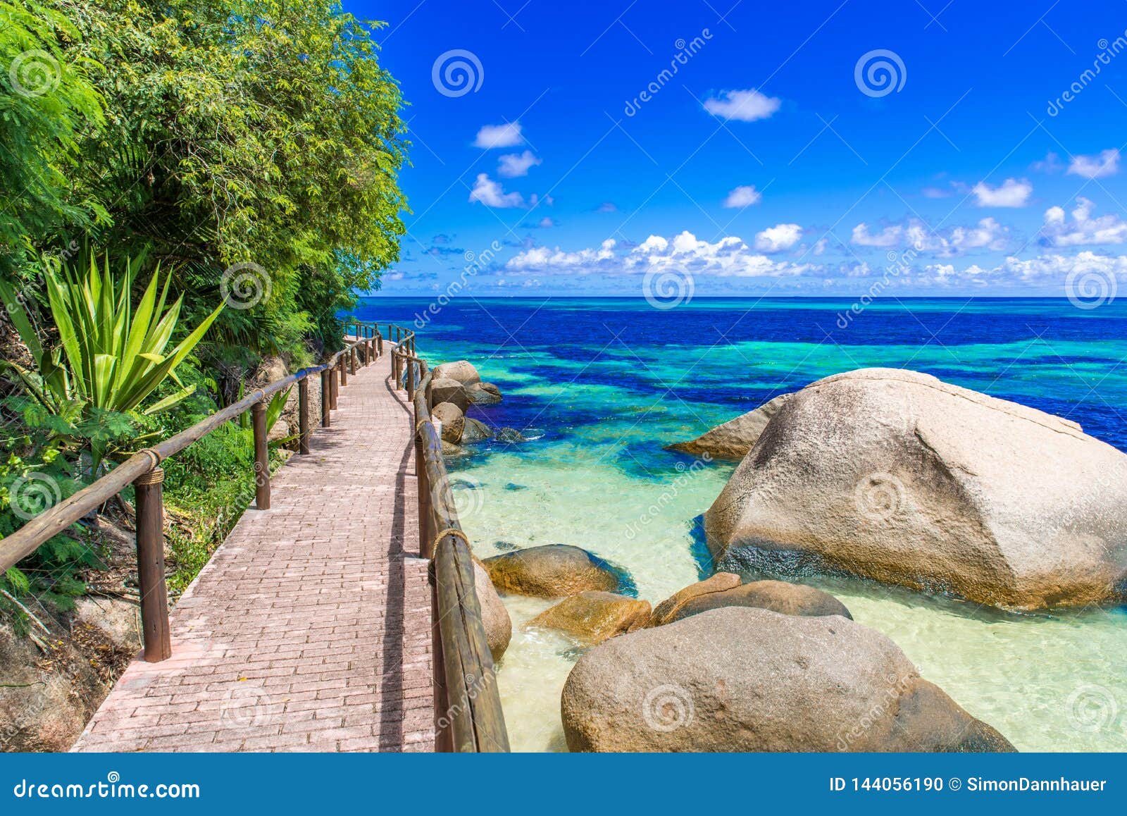 Path at paradise coast stock photo. Image of palm, coastline - 144056190
