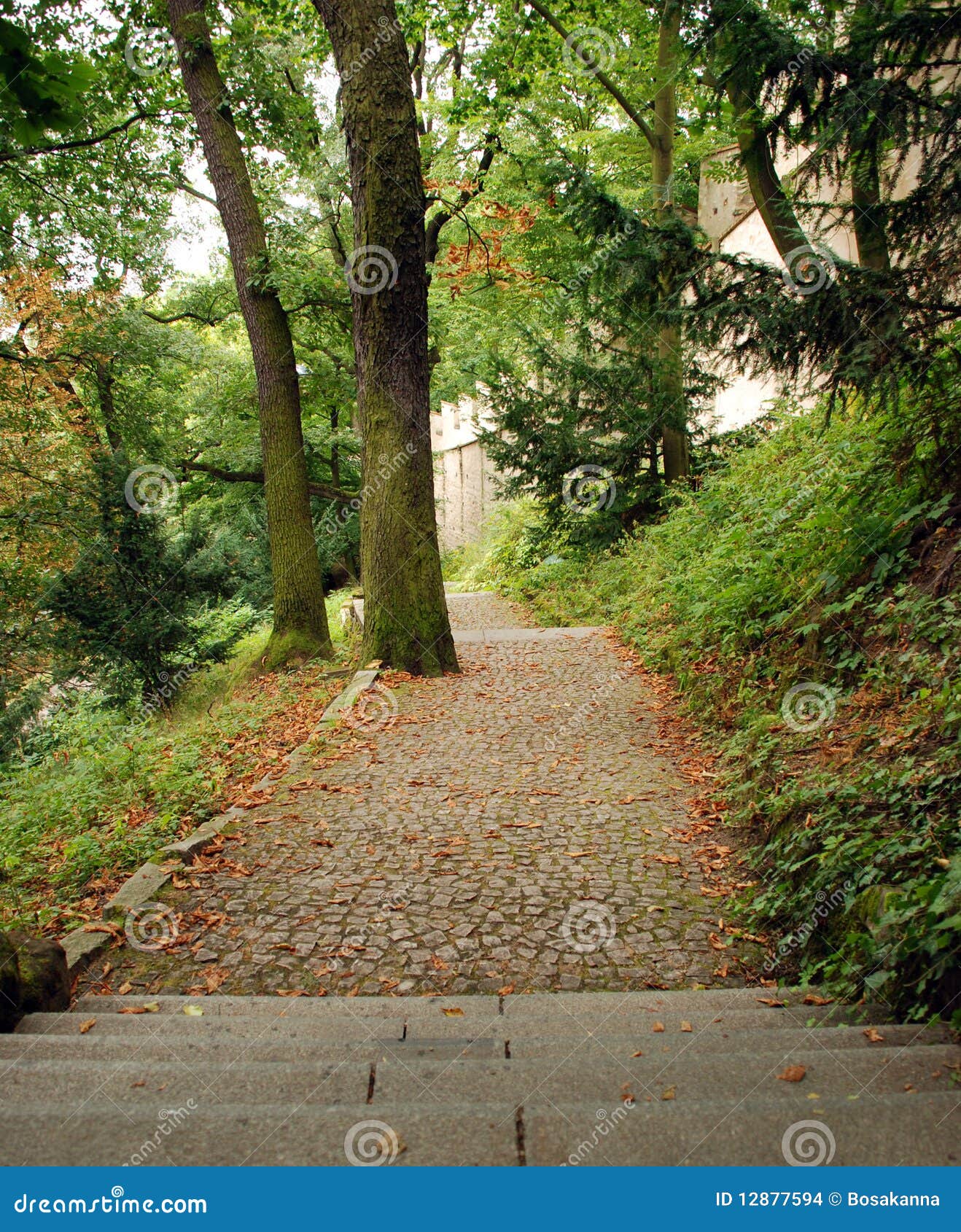 Path in the park stock photo. Image of landscape, lane - 12877594
