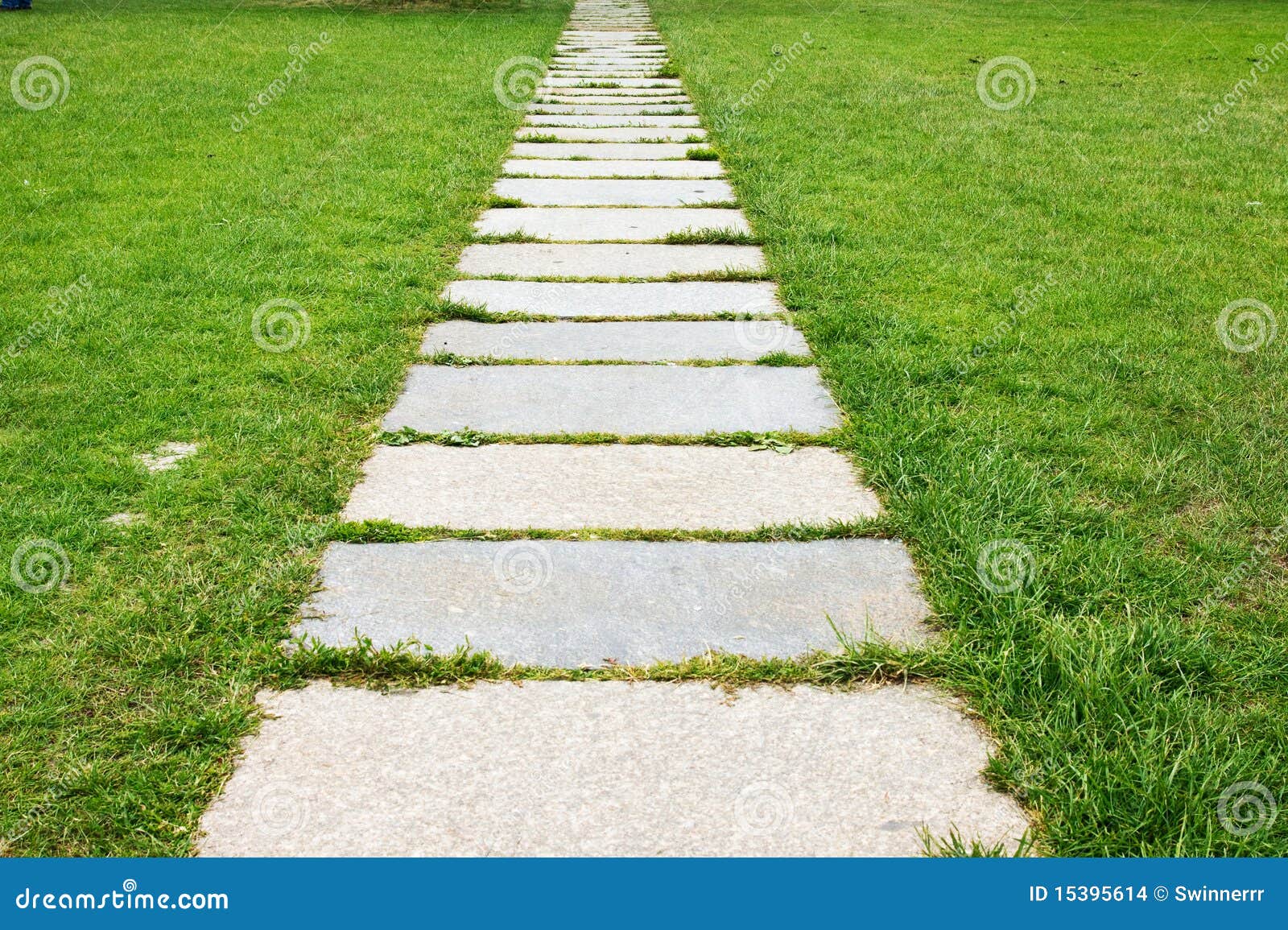 Path in the park stock photo. Image of outdoors, nature - 15395614