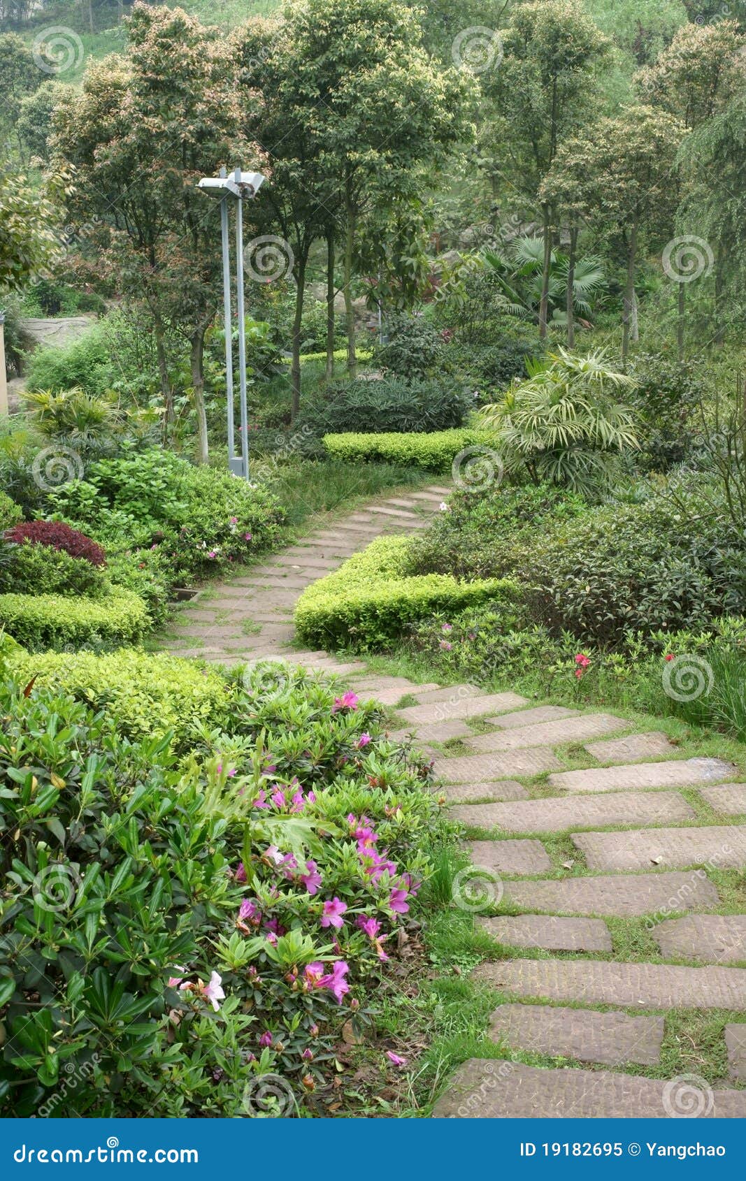 Path in park stock image. Image of walkway, nature, meandering - 19182695