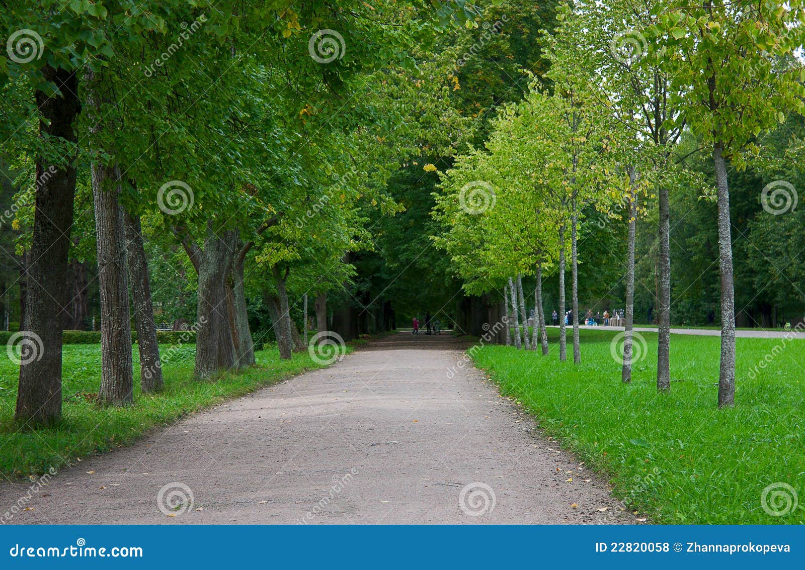Path in park stock photo. Image of nature, tsarskoye - 22820058