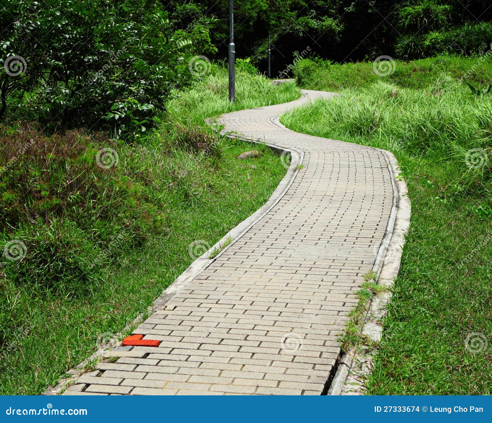 Path of the park stock photo. Image of garden, background - 27333674