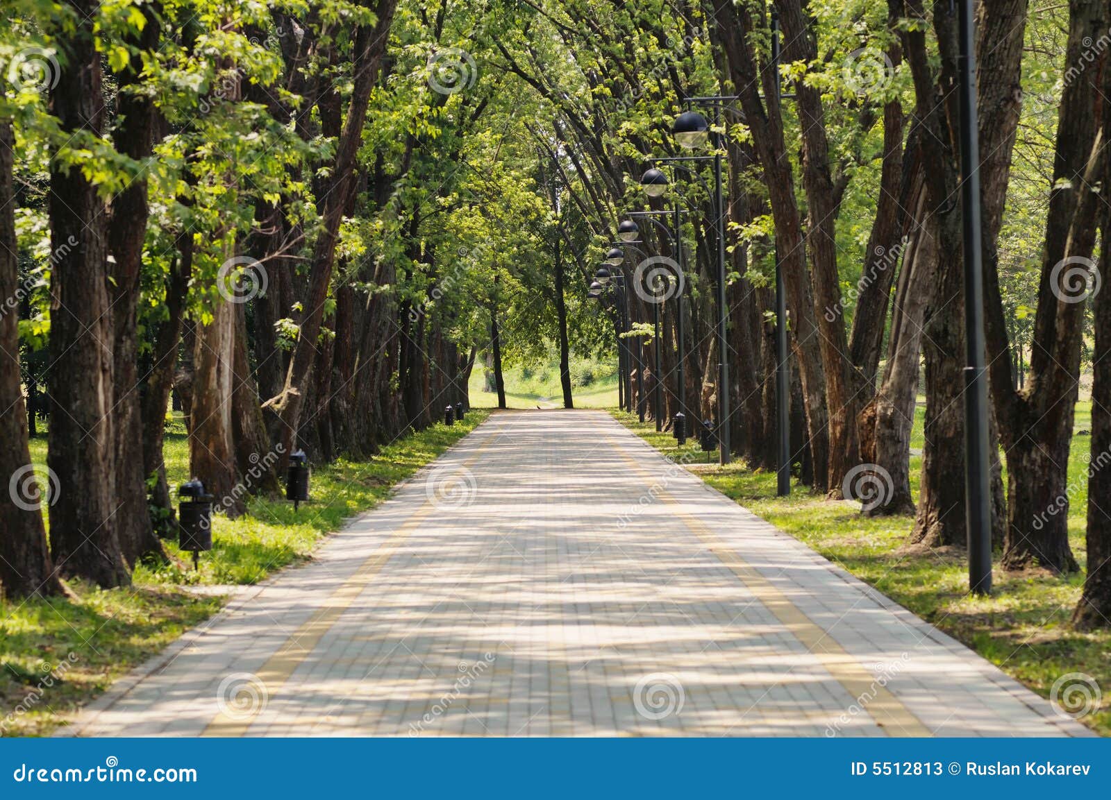 Path in the park. stock image. Image of park, recreation - 5512813
