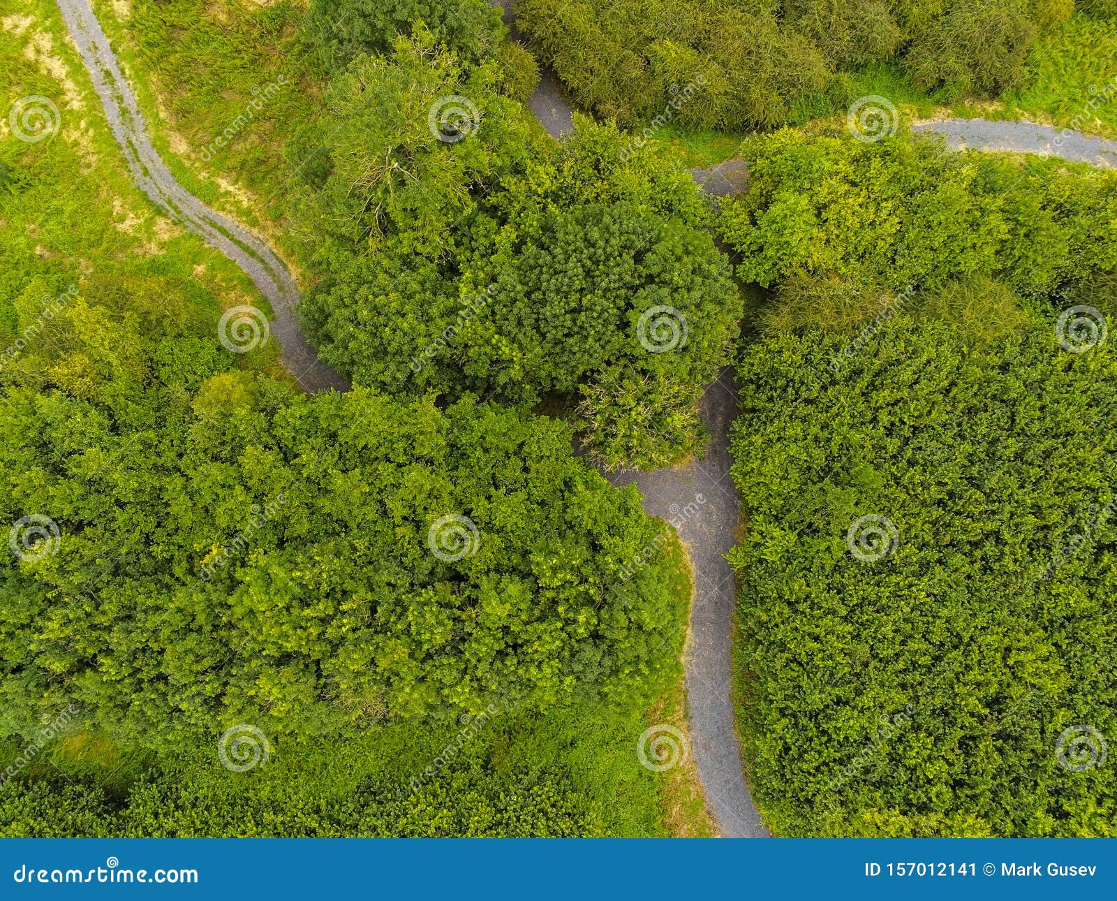 Path in a Park, Aerial Top View, Green Trees and Empty Road Stock Image ...