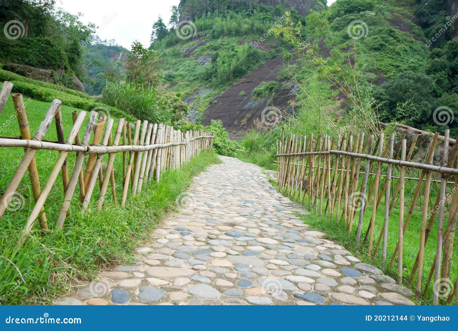 Path in Park with Bamboo Fence Stock Photo - Image of fence, asia: 20212144