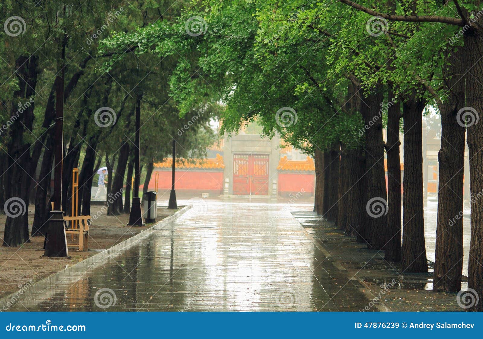 Path in Park of Beijing after Rain Stock Image - Image of tourist ...