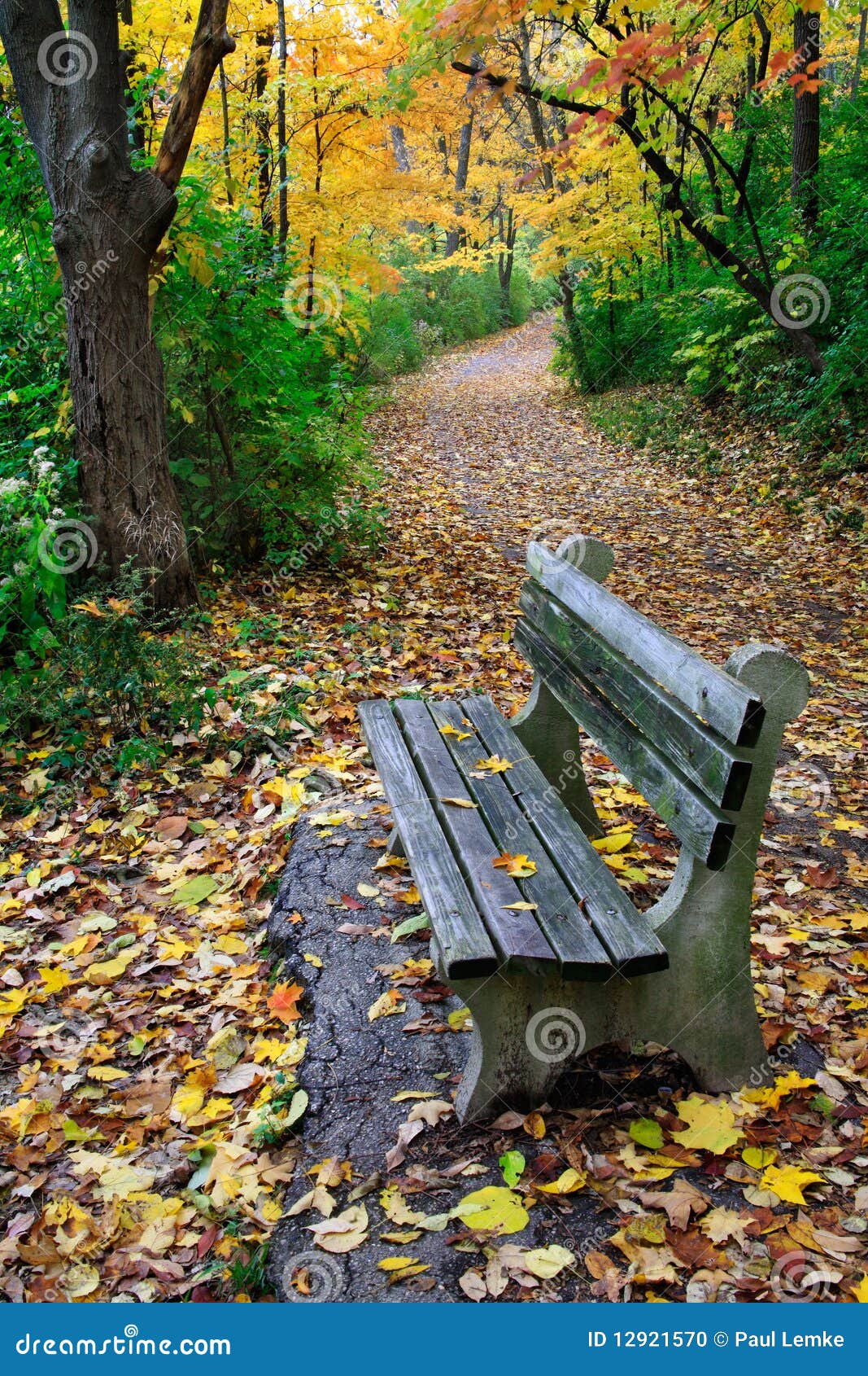 Path and Park Bench stock photo. Image of path, leaves - 12921570