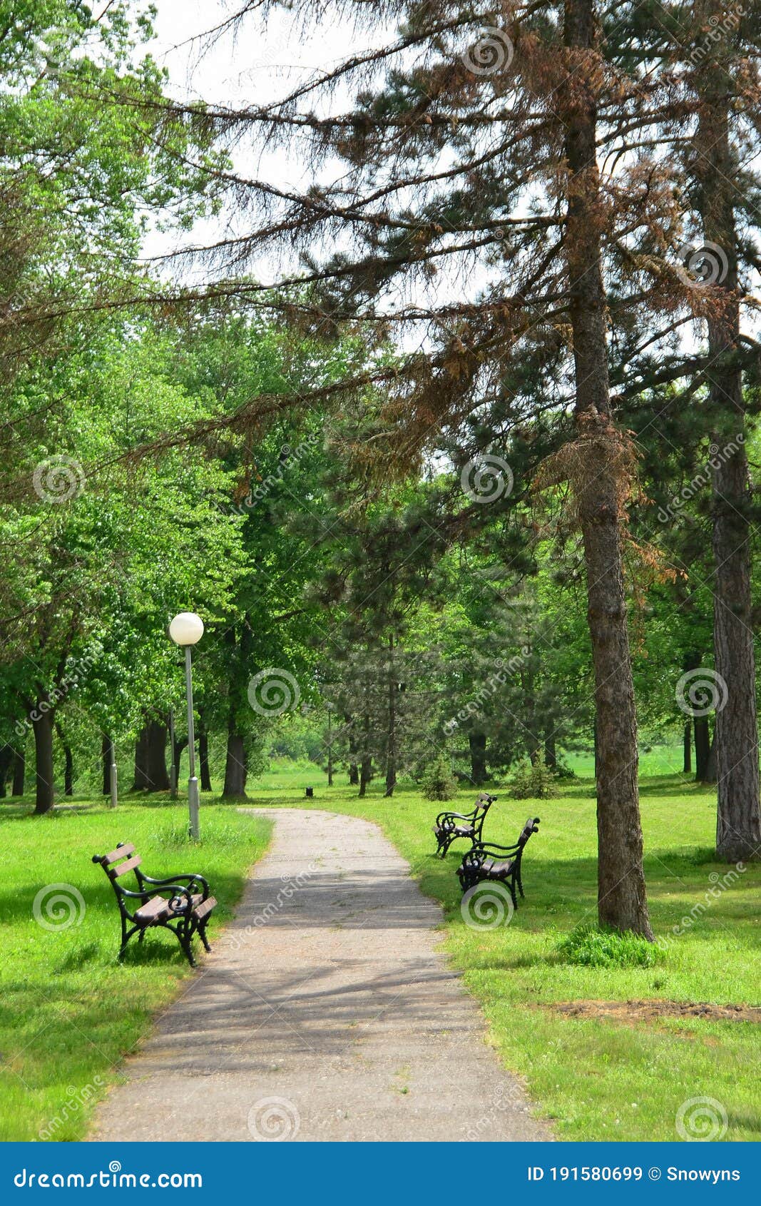 Path in the Park with Benches and Trees Stock Image - Image of lamp ...