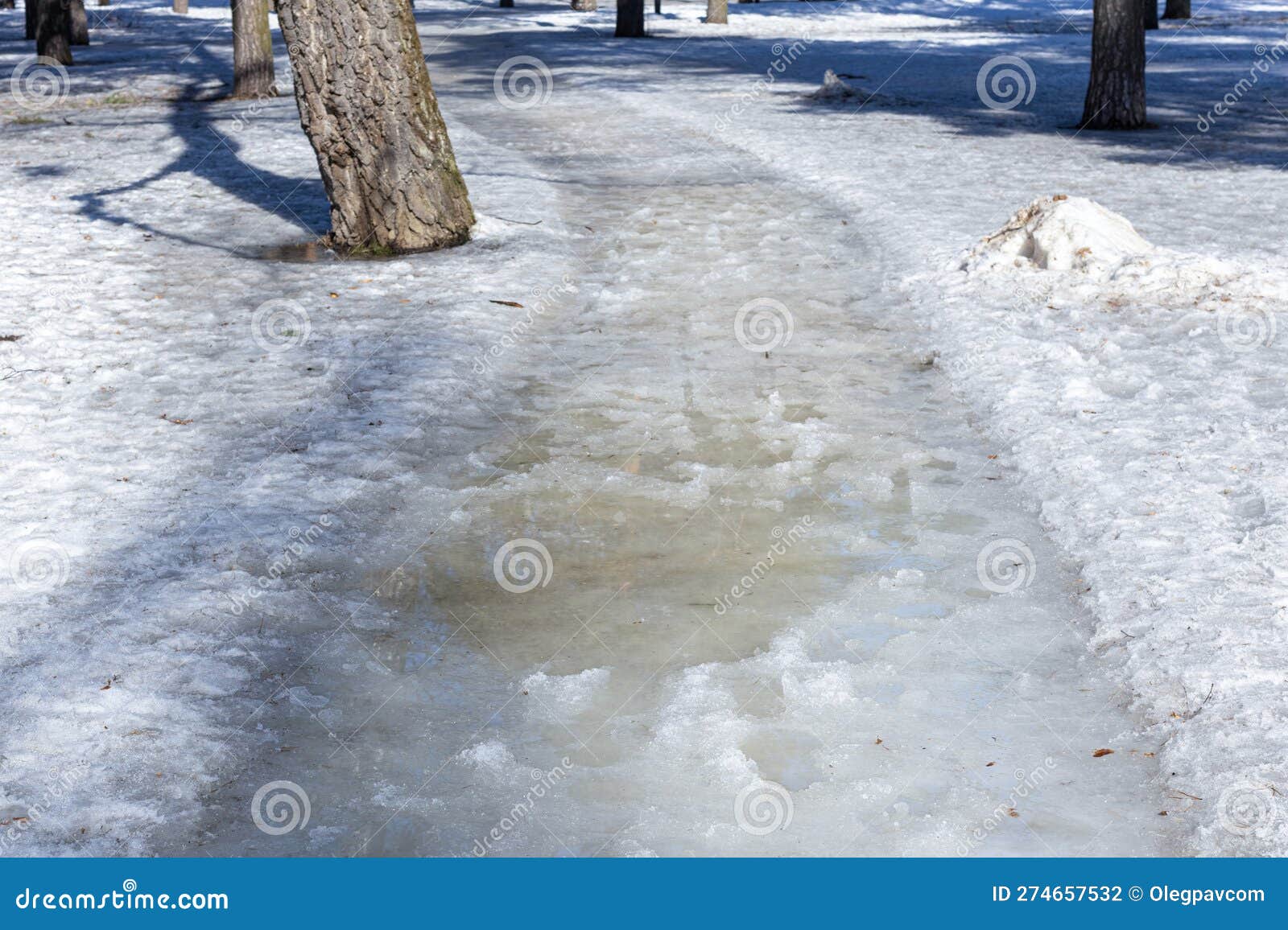 The Path in the Park is Covered with Puddles in Winter. Stock Photo ...