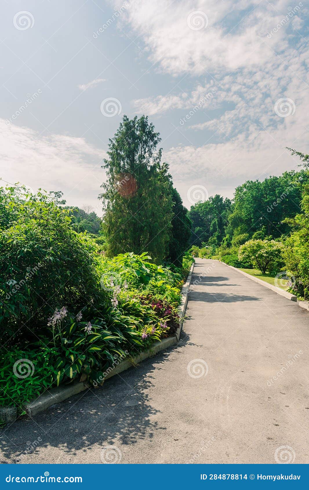 Path in the Park among Dense Vegetation. Stock Photo - Image of trees ...