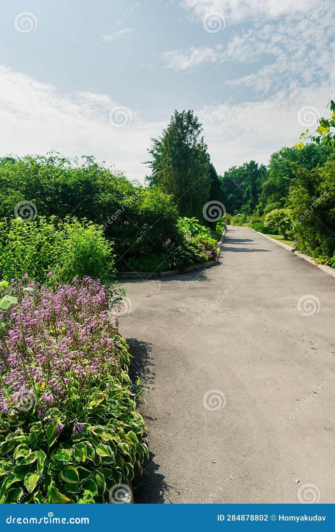 Path in the Park among Dense Vegetation. Stock Photo - Image of field ...