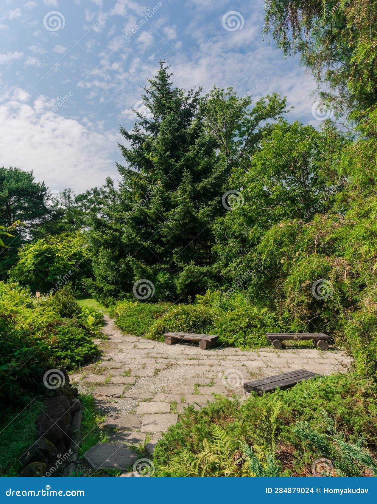 Path in the Park among Dense Vegetation. Stock Photo - Image of dense ...