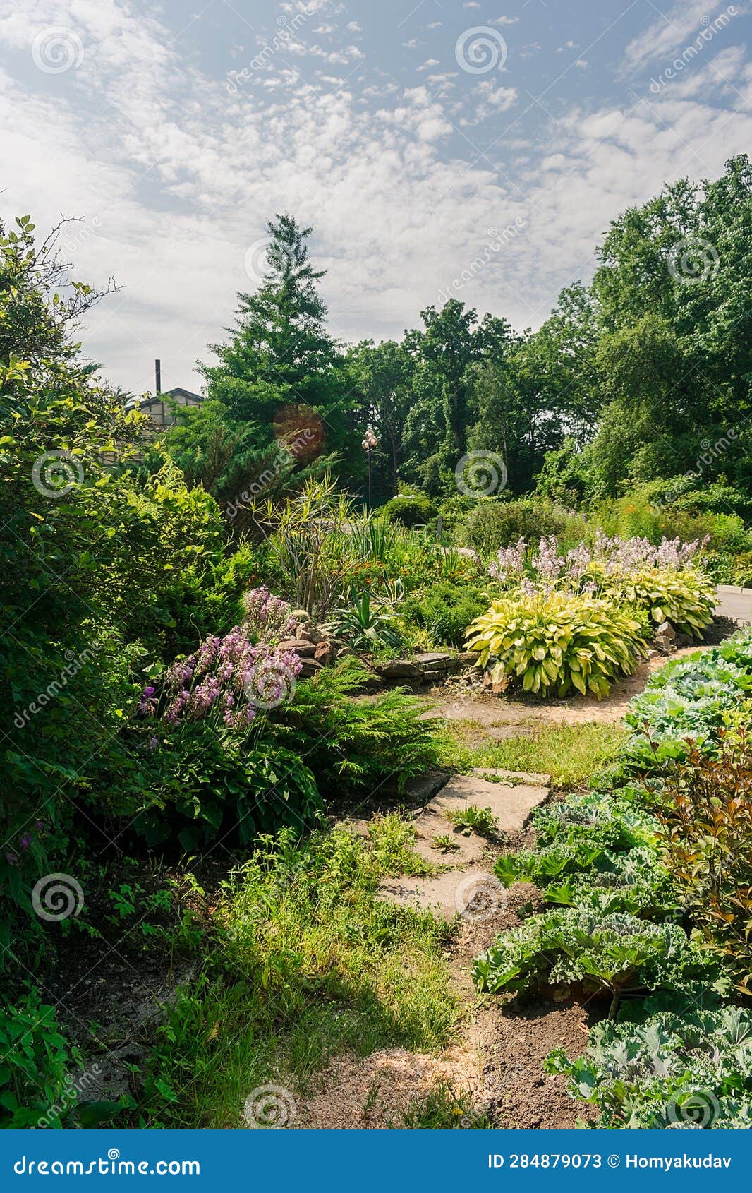 Path in the Park among Dense Vegetation. Stock Image - Image of yard ...