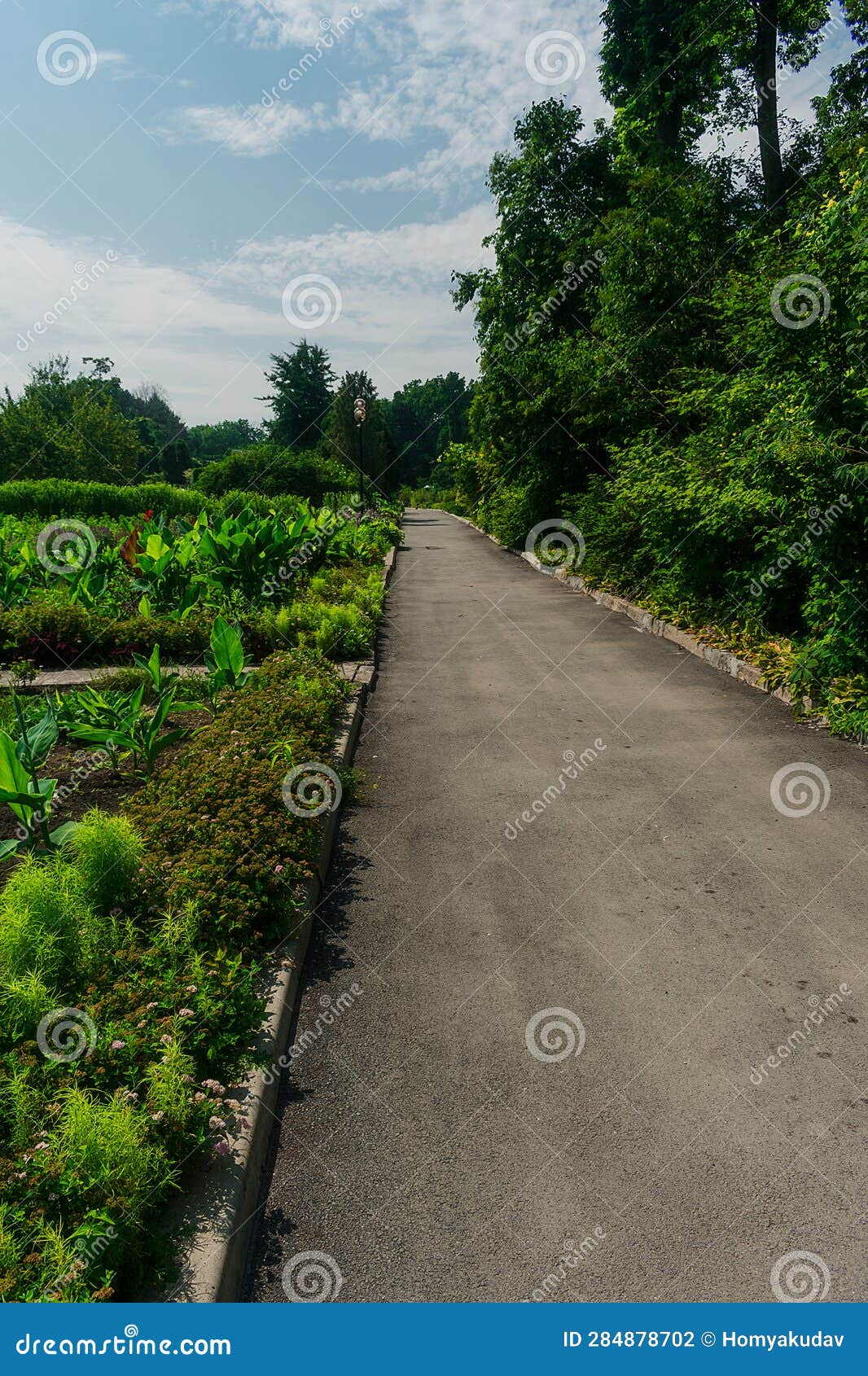 Path in the Park among Dense Vegetation. Stock Photo - Image of garden ...