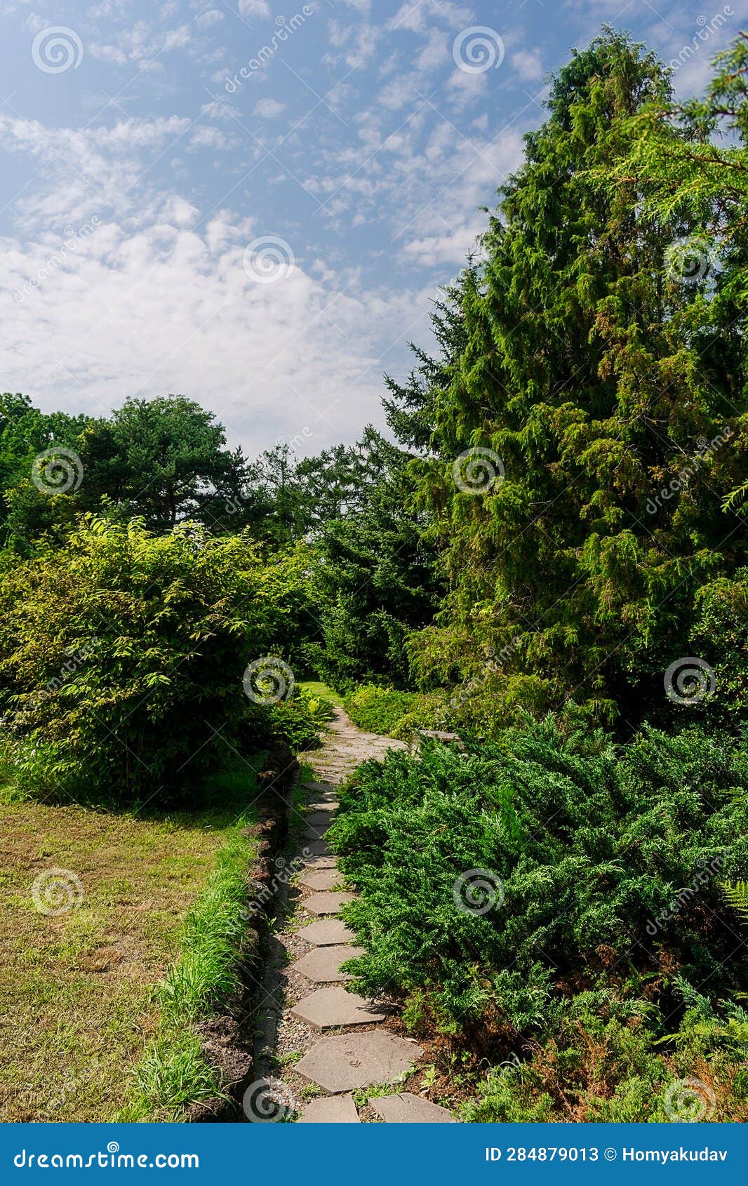 Path in the Park among Dense Vegetation. Stock Image - Image of path ...