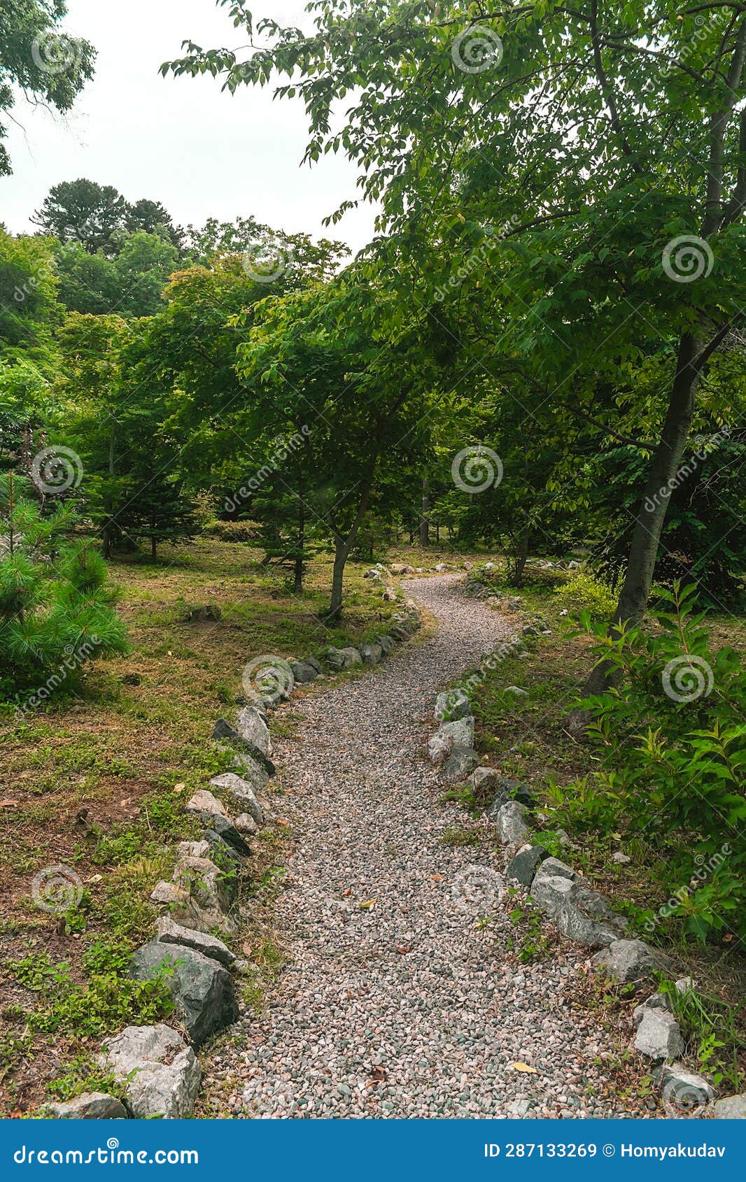 Path in the Park among Dense Vegetation. Stock Image - Image of shrub ...