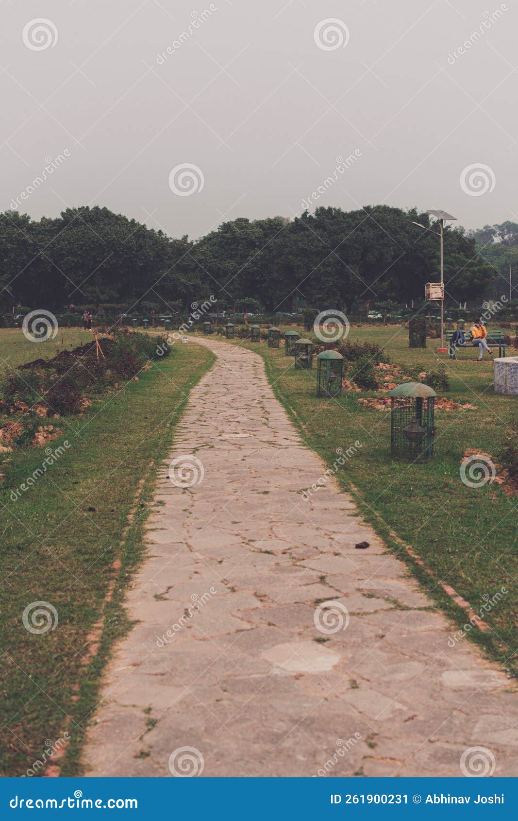 Path in the Park - Empty Pathway in the Park - Leading Lines Stock ...
