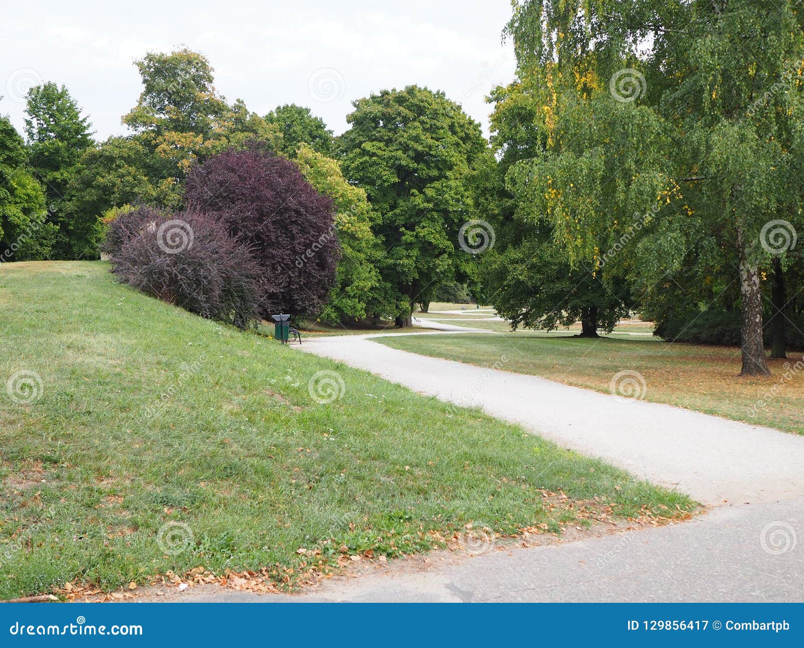 Path in a Park, Empty Place Stock Image - Image of quietness, empty ...