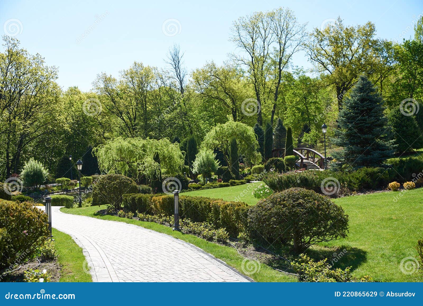 Path in Park, between Evergreen Coniferous Bushes and Trees Stock Image ...