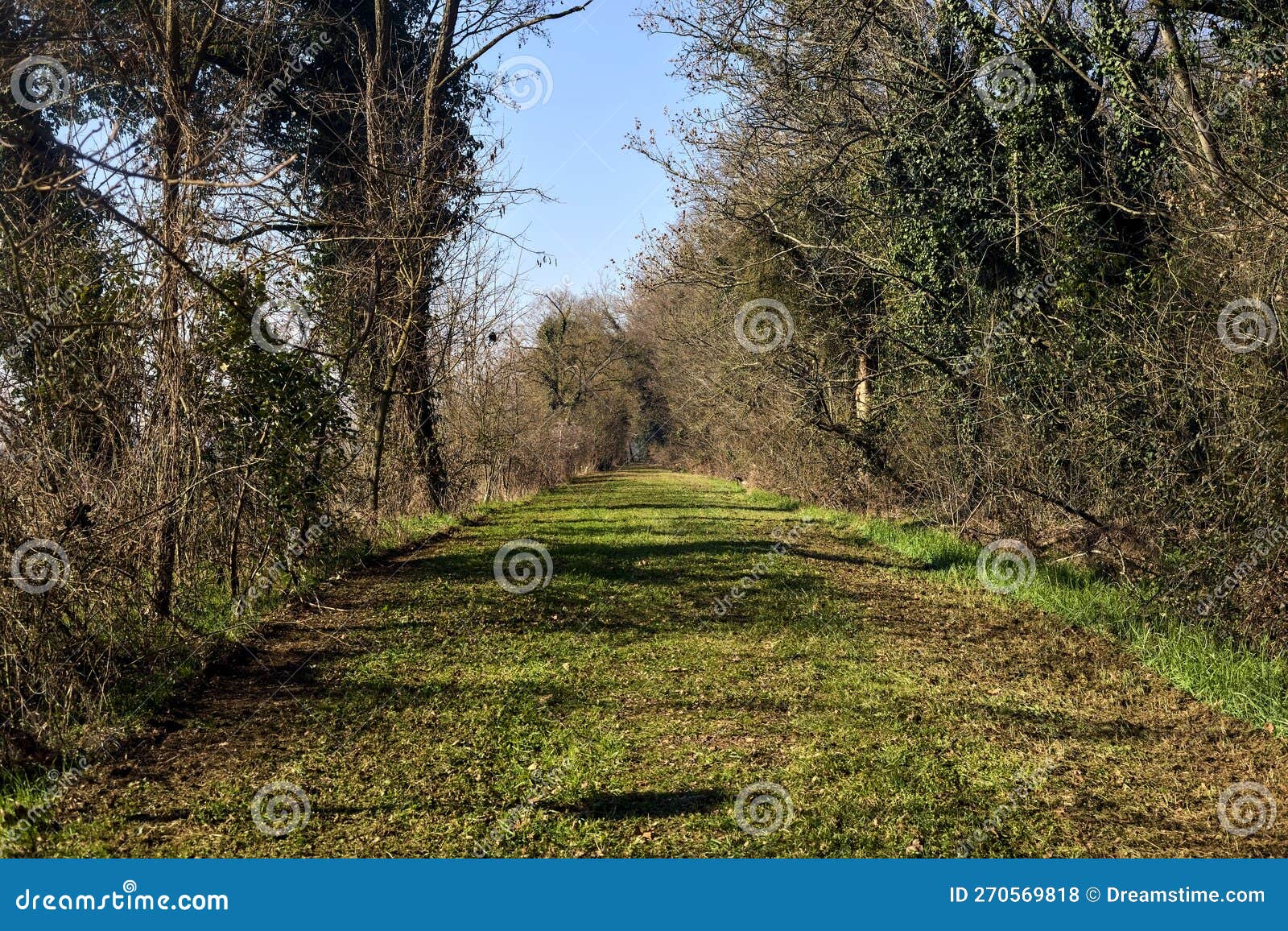 Path in a Park with a Field Visible through Trees on a Sunny Day Stock ...