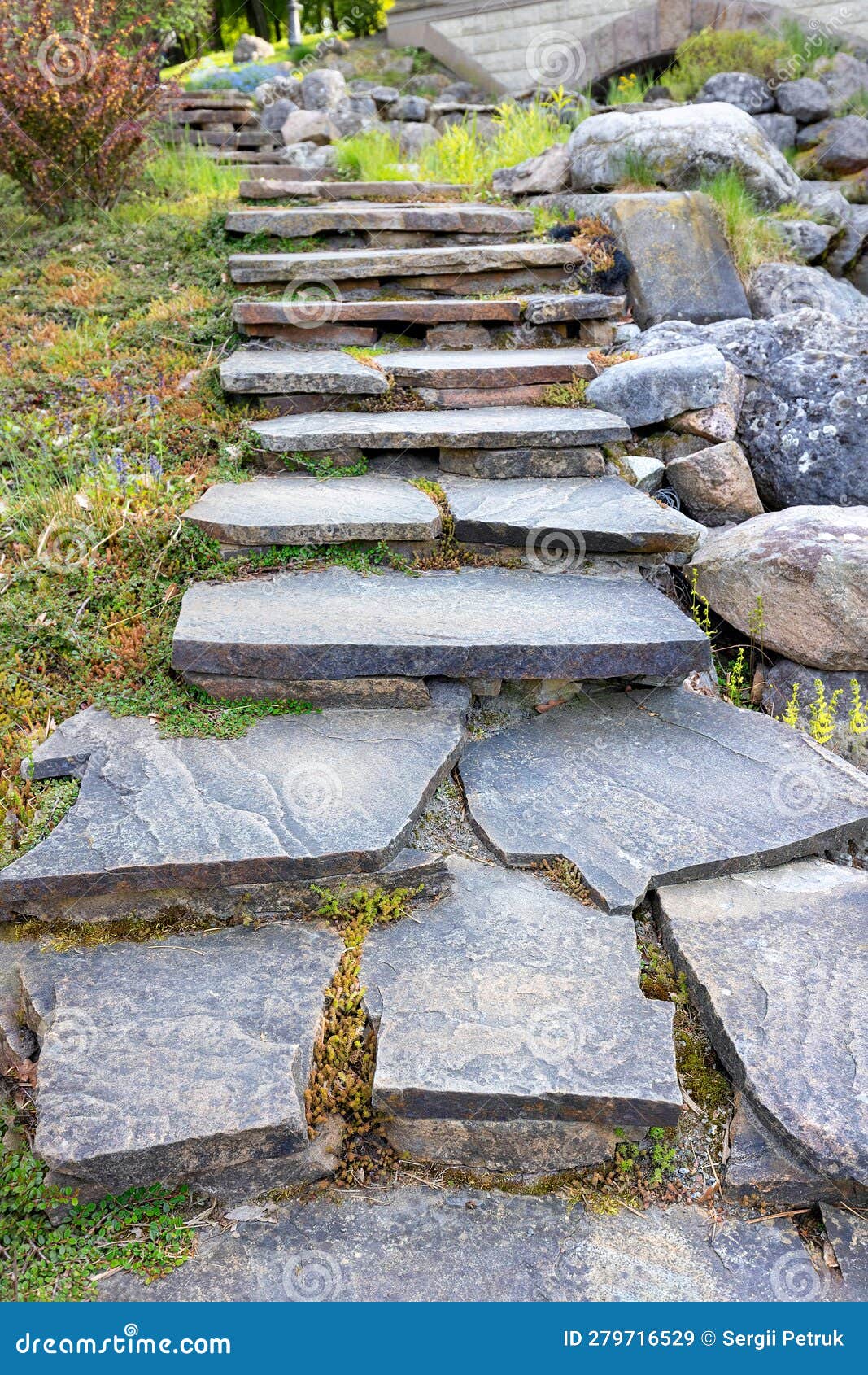 A Stepped Path of Coarse-grained Sandstone in the Park Climbs Up Past ...
