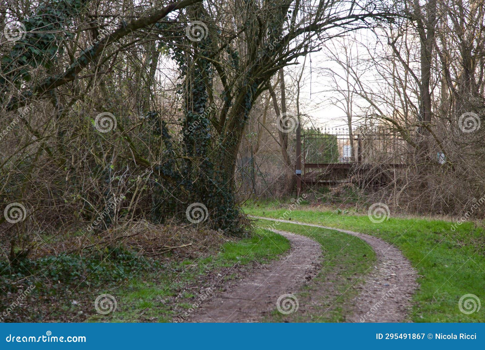 Path in a Park in the Italian Countryside at Sunset Stock Image - Image ...