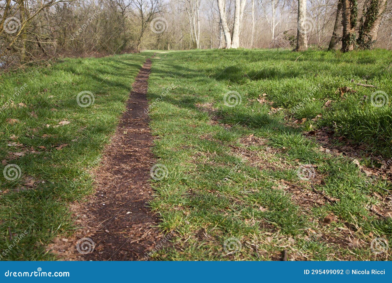 Path in a Park in the Italian Countryside at Sunset Stock Photo - Image ...