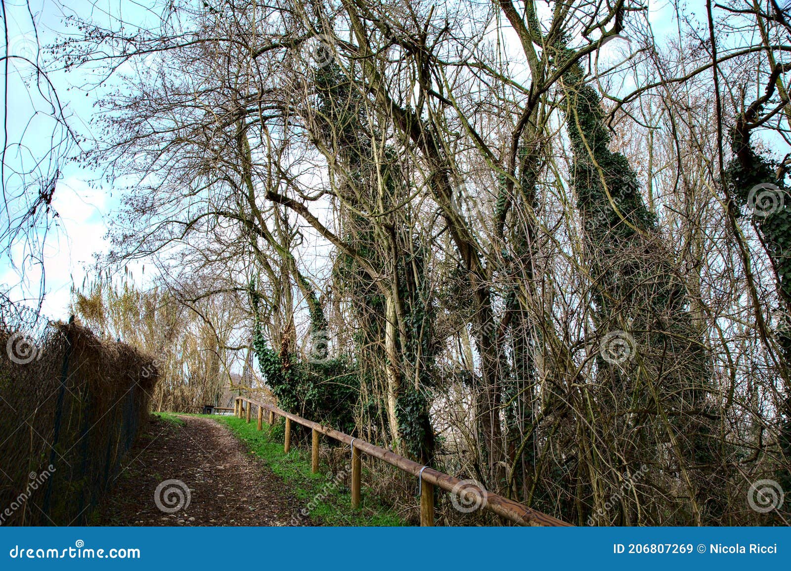 Path in a Park in the Italian Countryside in Winter Stock Image - Image ...