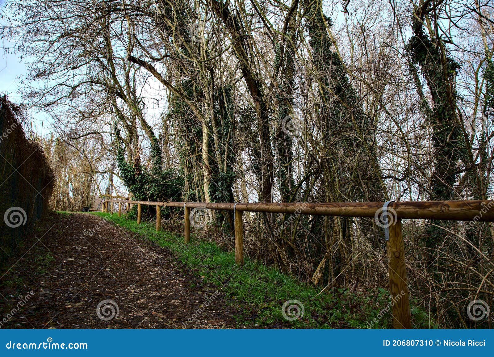 Path in a Park in the Italian Countryside in Winter Stock Photo - Image ...