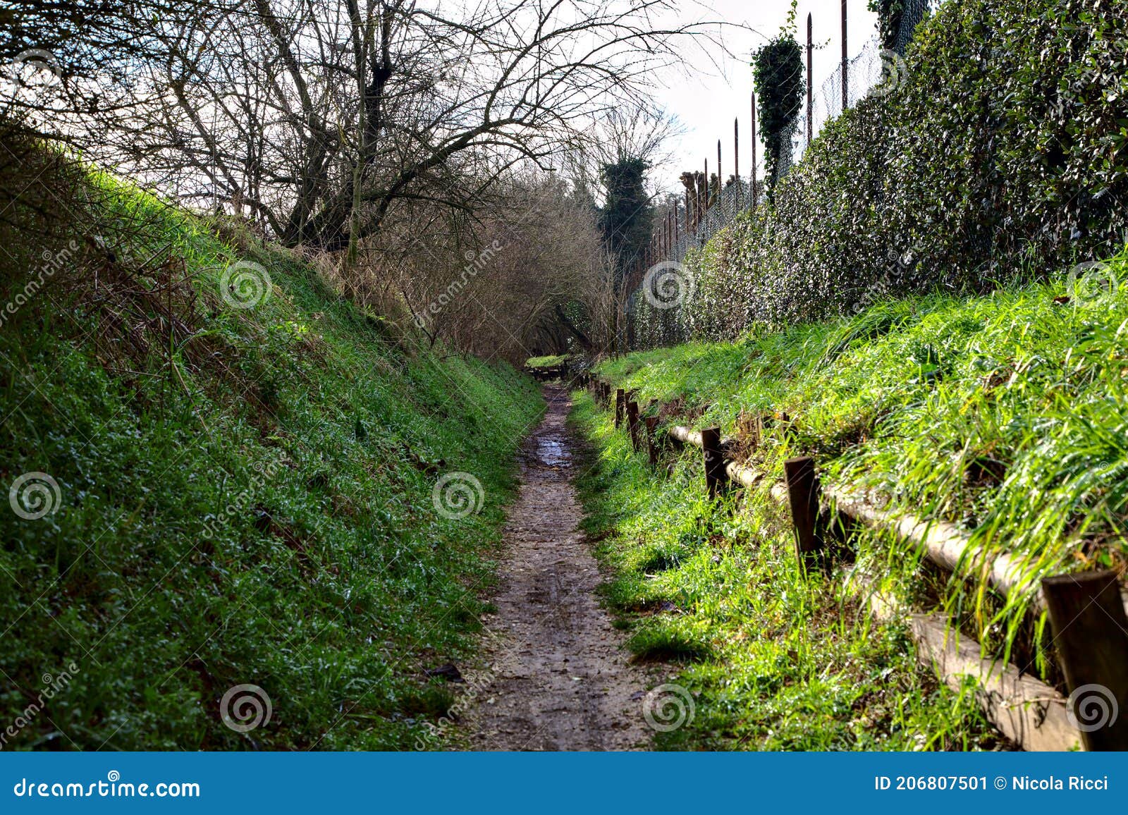 Path in a Park in the Italian Countryside in Winter Stock Image - Image ...