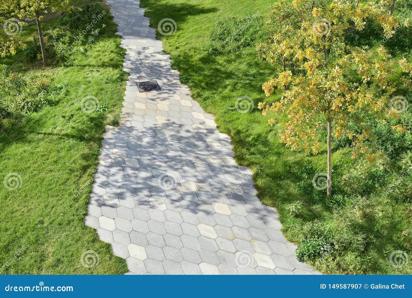The Path in the Park Lined with Paving Slabs in the Form of a Diamond ...