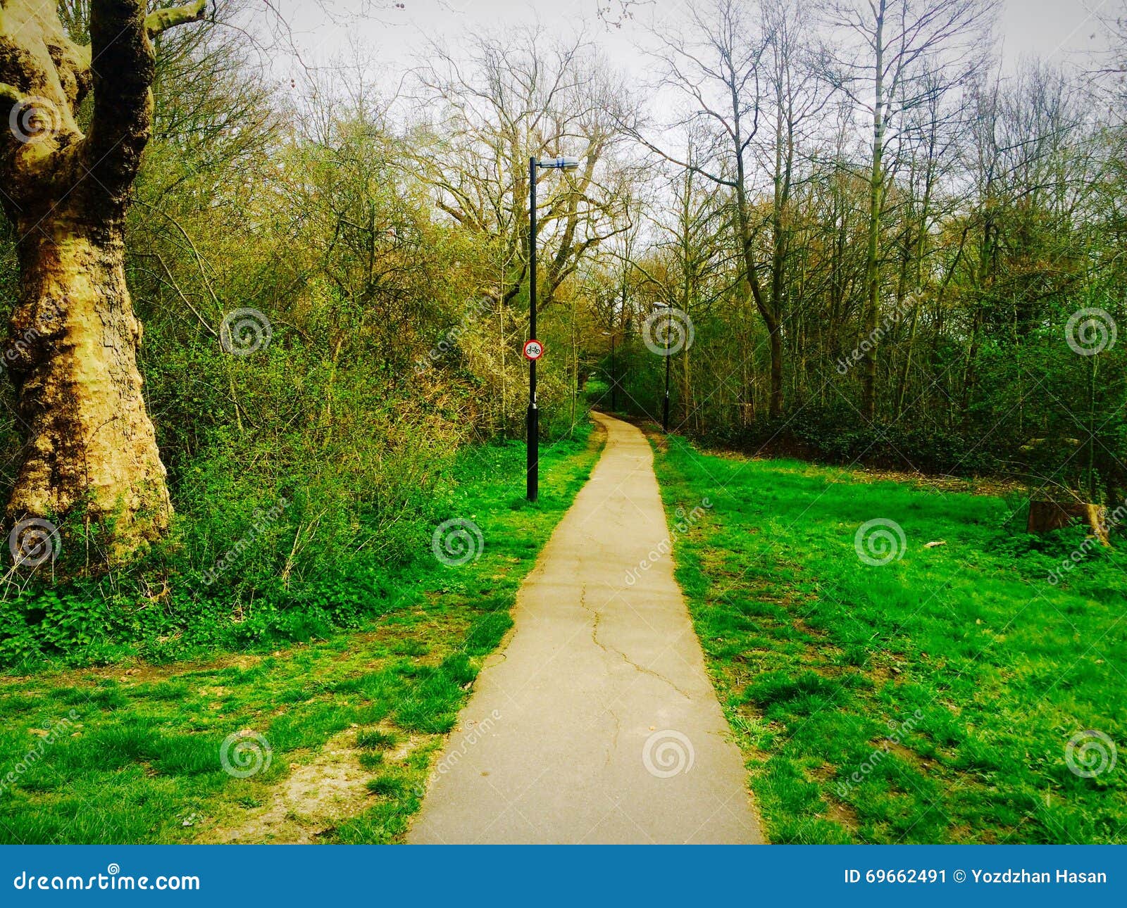 Path in a Park stock image. Image of park, path, london - 69662491