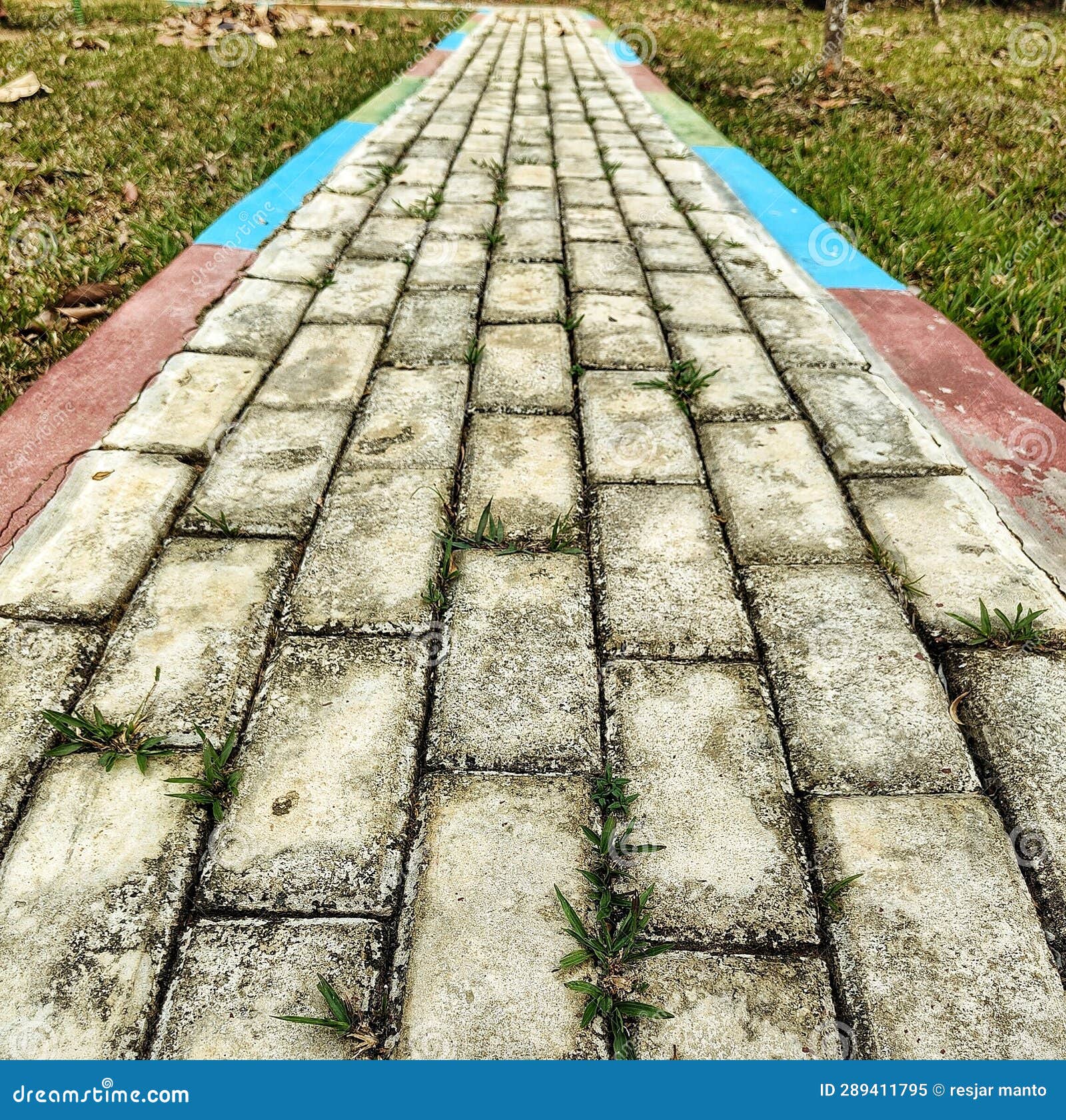 The Path in the Park Looks Beautiful Stock Image - Image of park ...