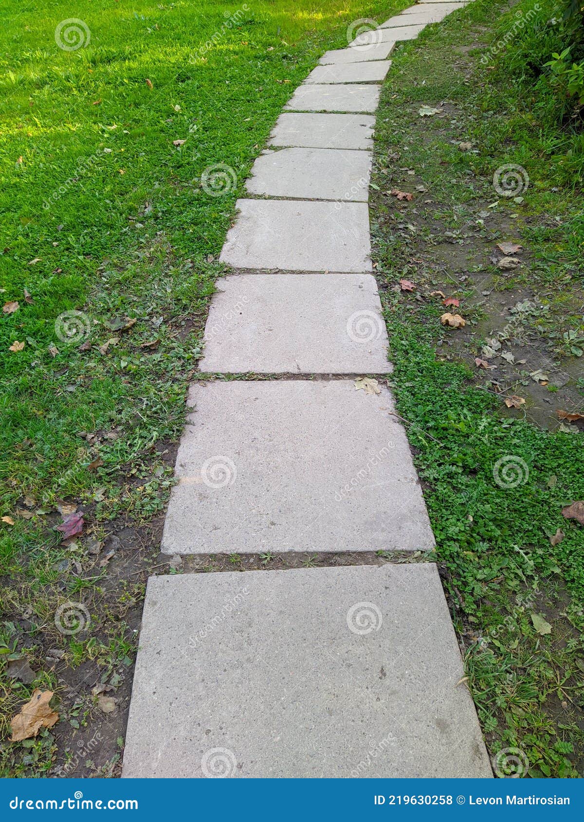 Path in the Park is Made of Concrete Square Slabs Stock Photo - Image ...