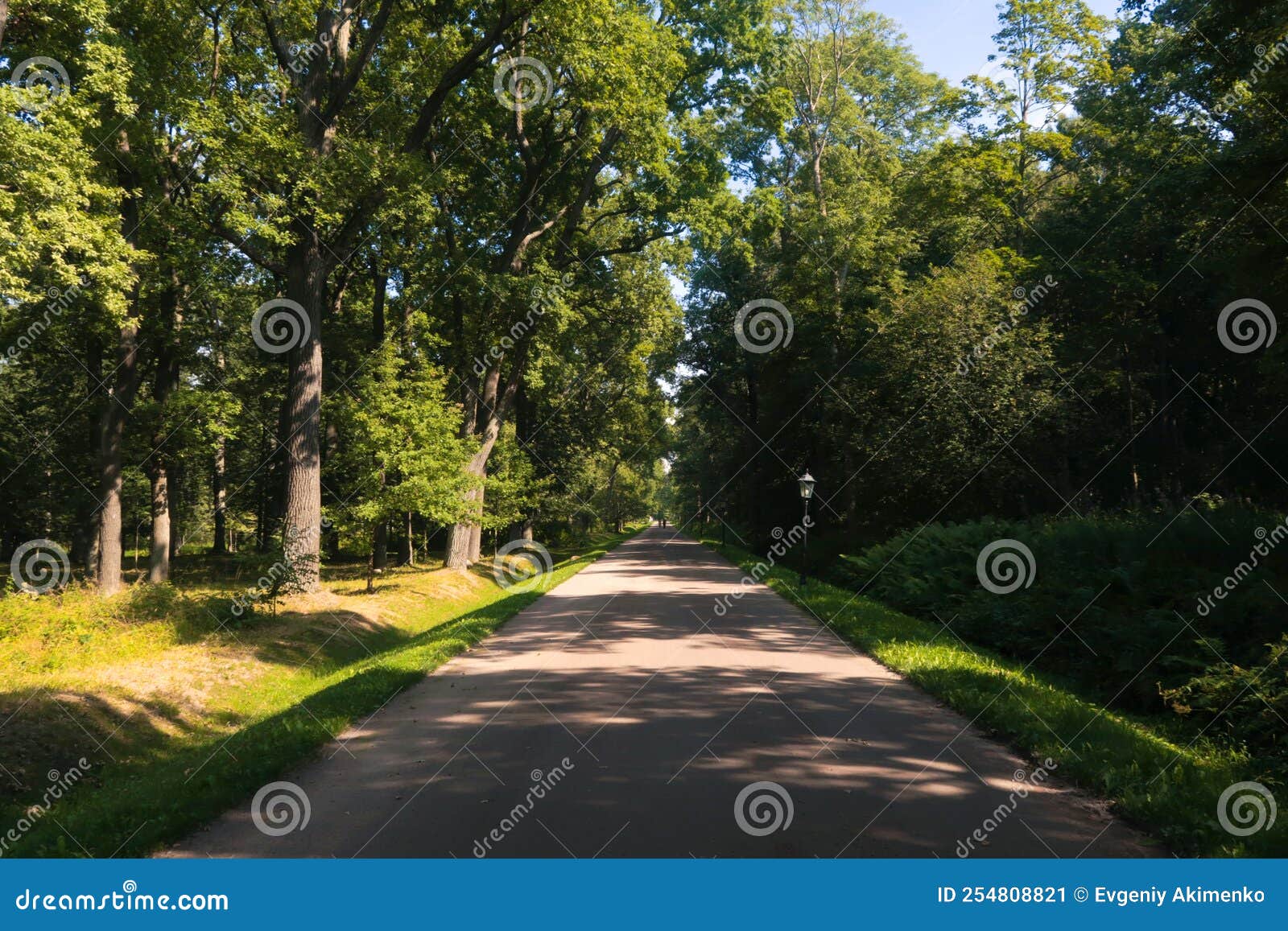 Path in the Park among Mowed Lawns Stock Image - Image of nature, green ...