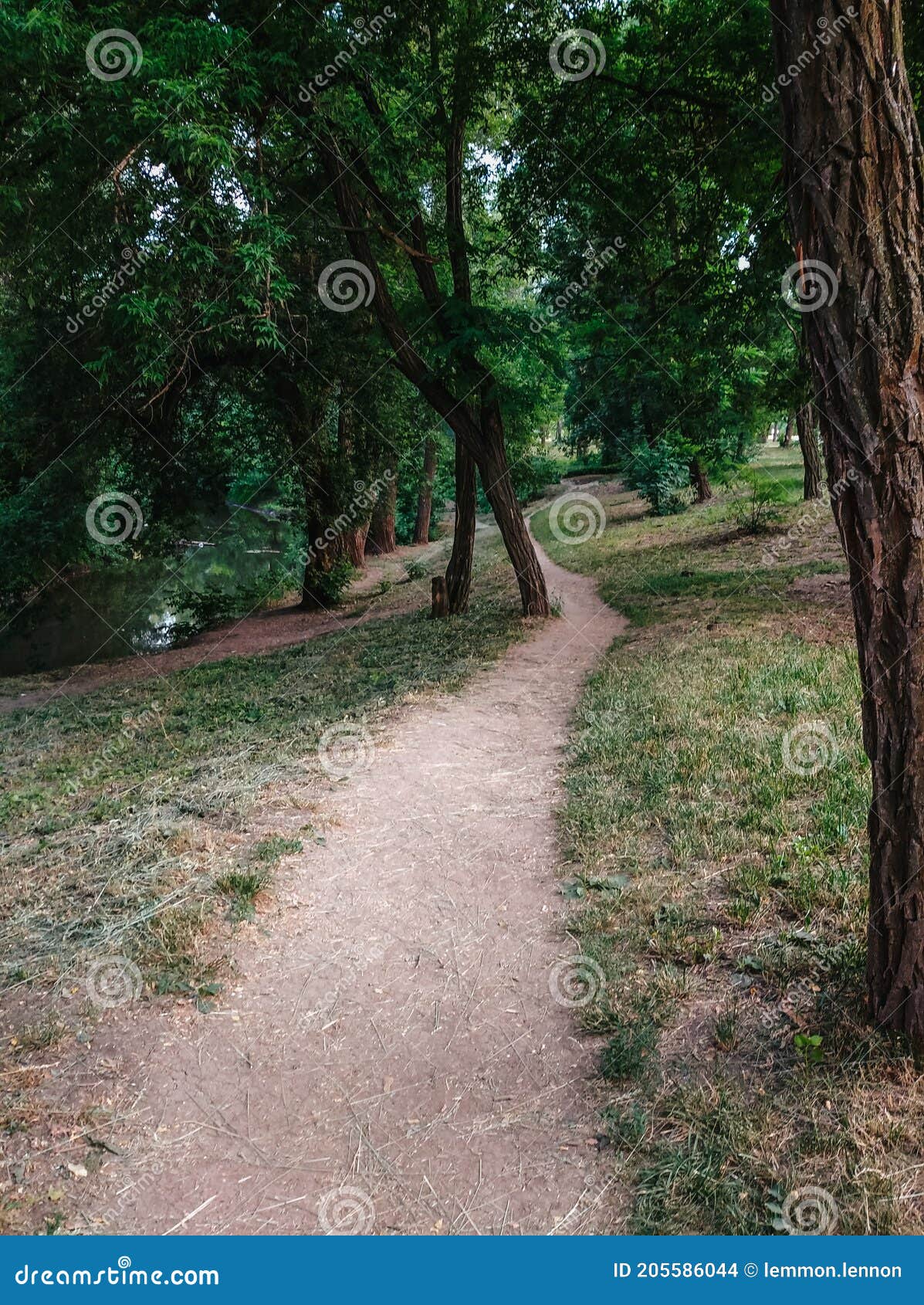The Path in the Park Next To the River Stock Photo - Image of forest ...