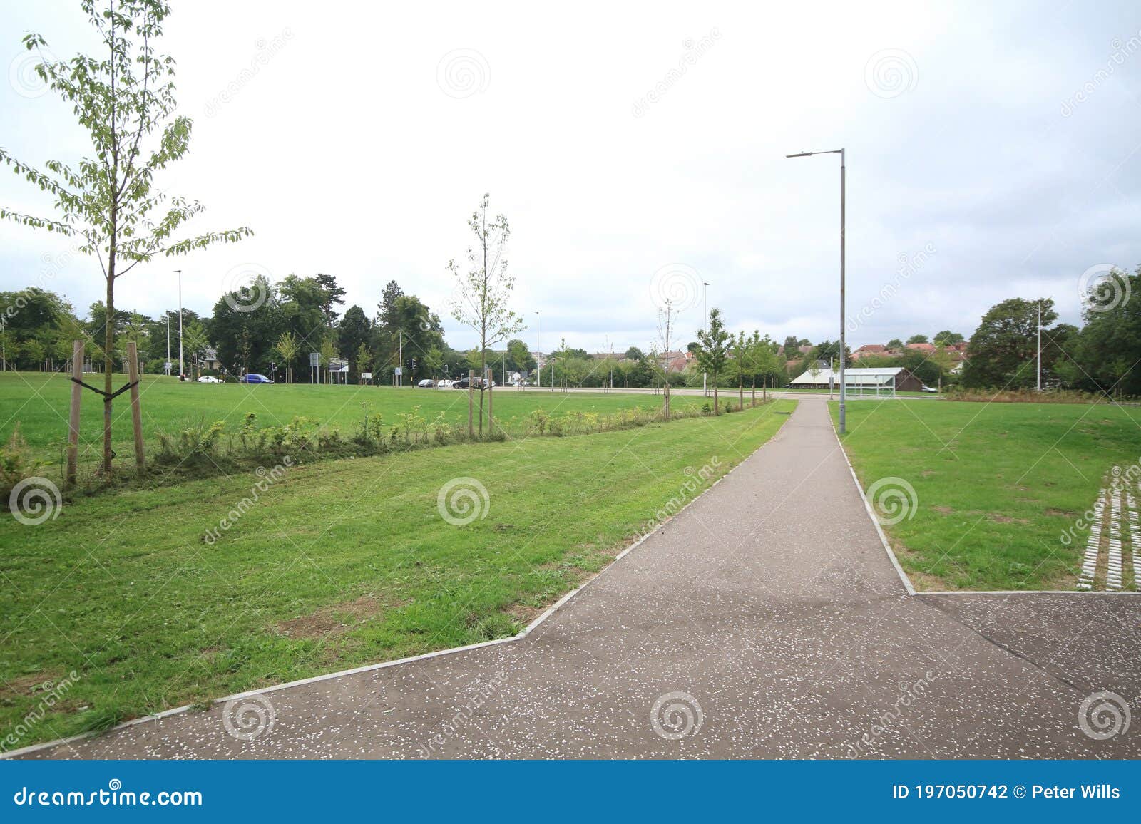 Path through the park stock photo. Image of adventure - 197050742