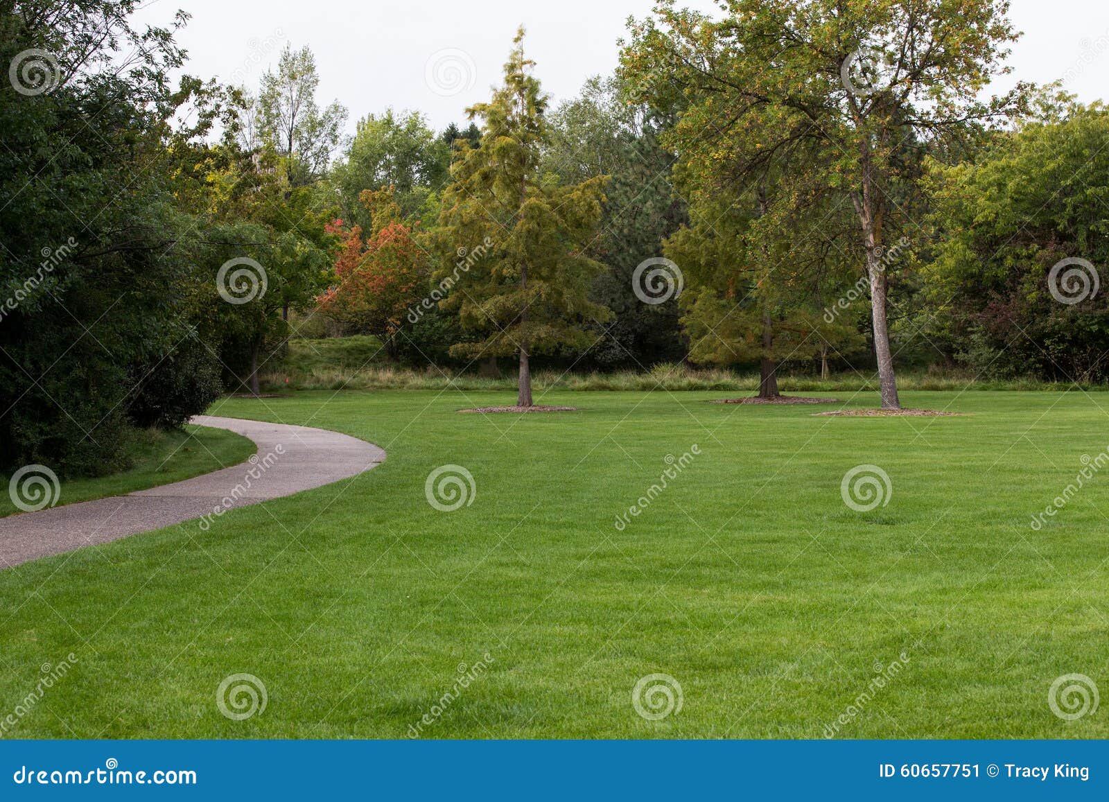 Path in the park stock image. Image of structure, park - 60657751
