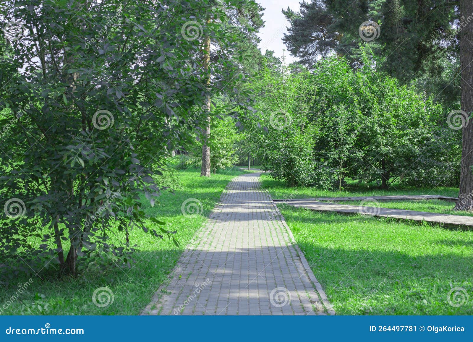 Path in the Park Paved with Stone Blocks, Green Summer Park with ...