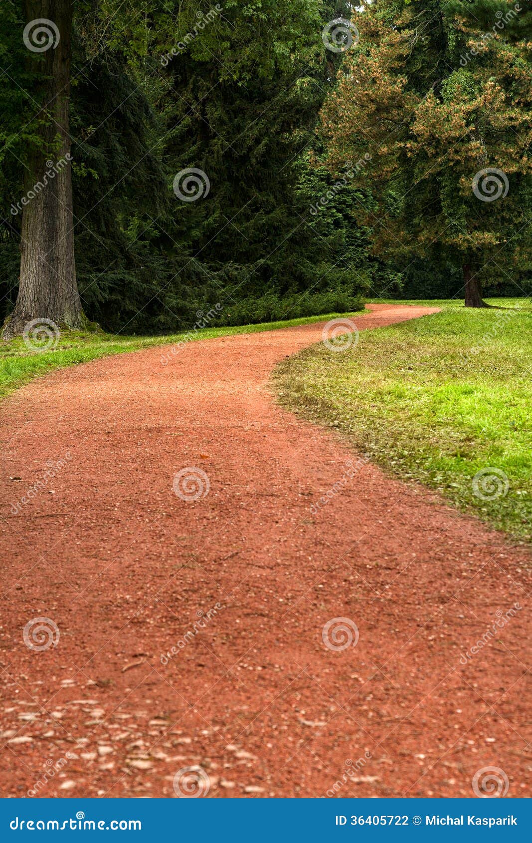 Path in the park stock photo. Image of nature, recreation - 36405722