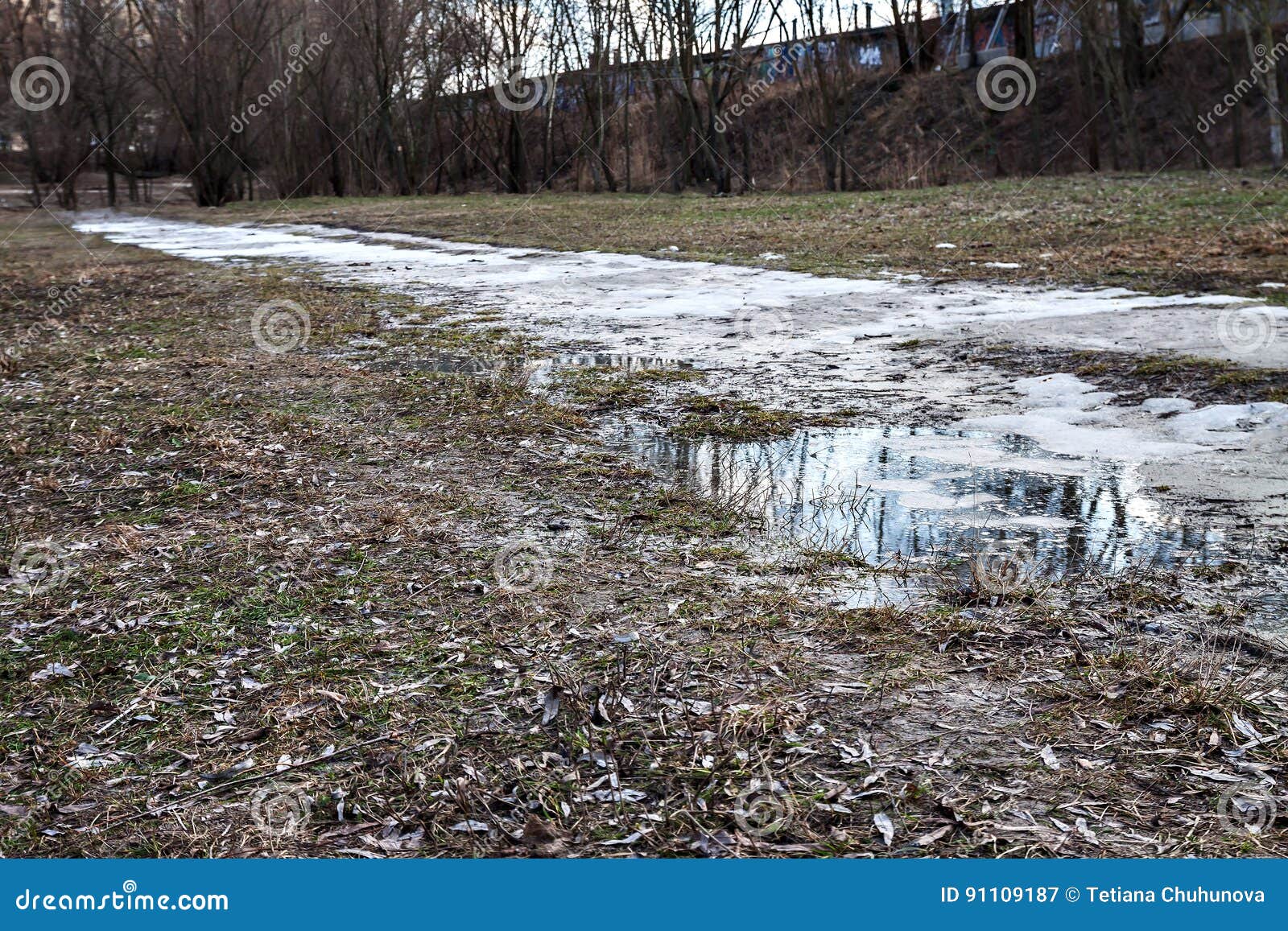 On the Path in the Park Slush, Puddle, Snow Stock Image - Image of ...