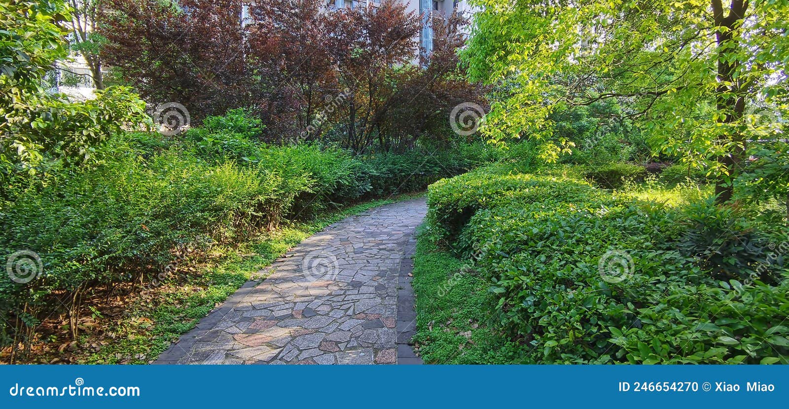 A path in the park stock photo. Image of brick, places - 246654270