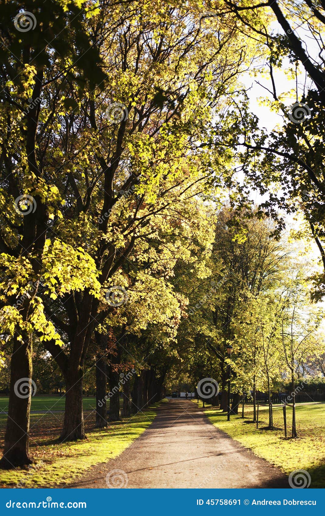 Path in park stock image. Image of walk, outdoors, spring - 45758691