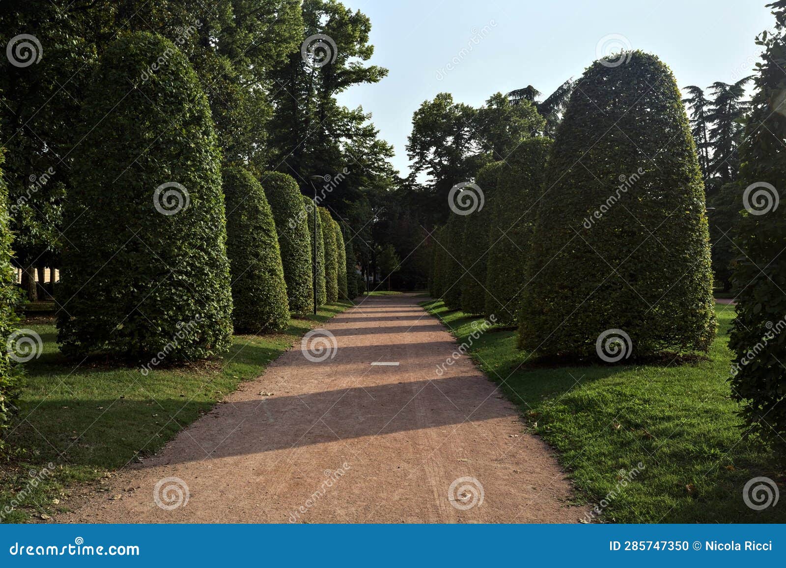 Path in a Park at Sunset Bordered by Trimmed Hedges Stock Photo - Image ...